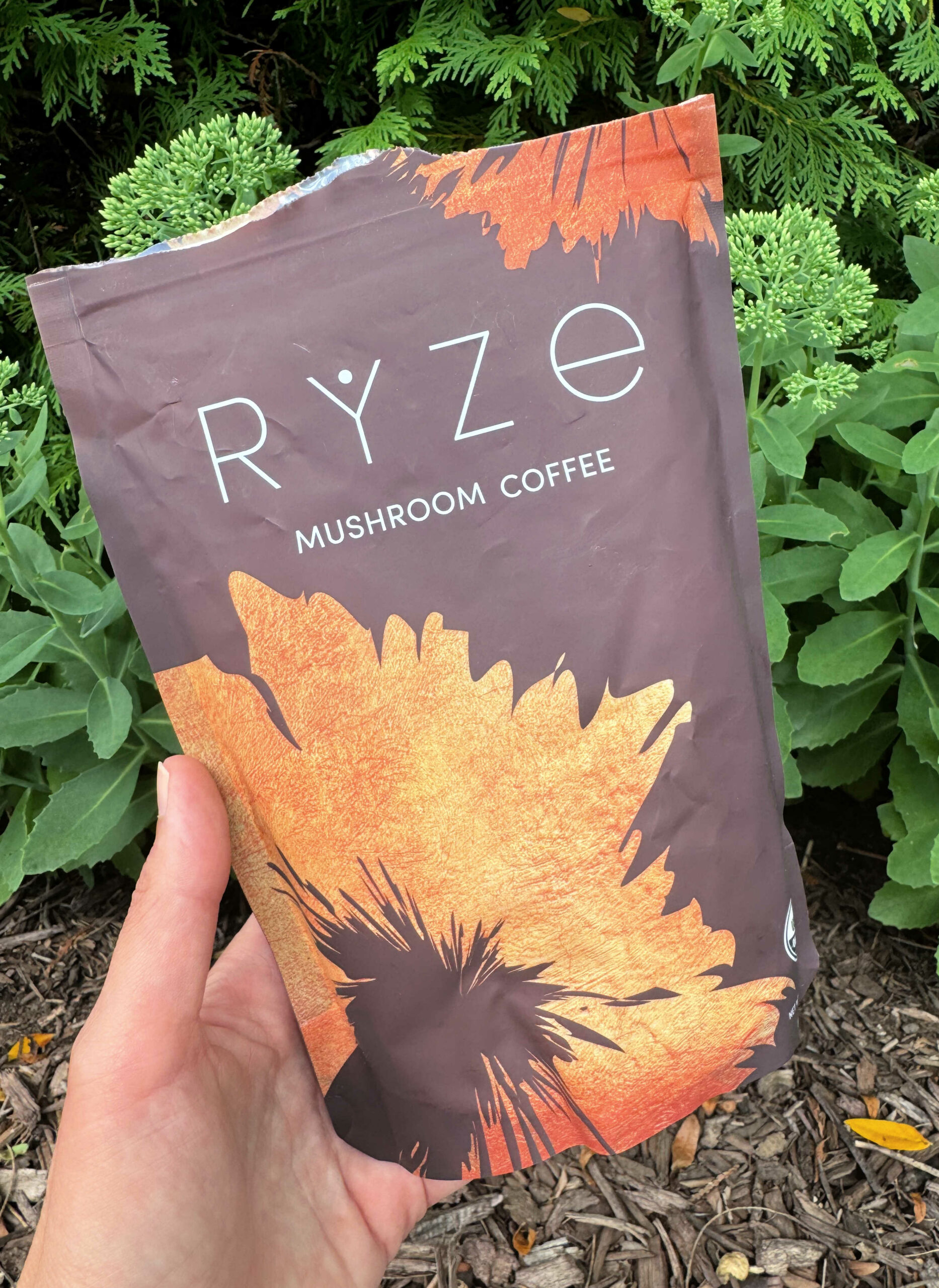 RYZE Superfoods Mushroom Coffee - A Nation of Moms