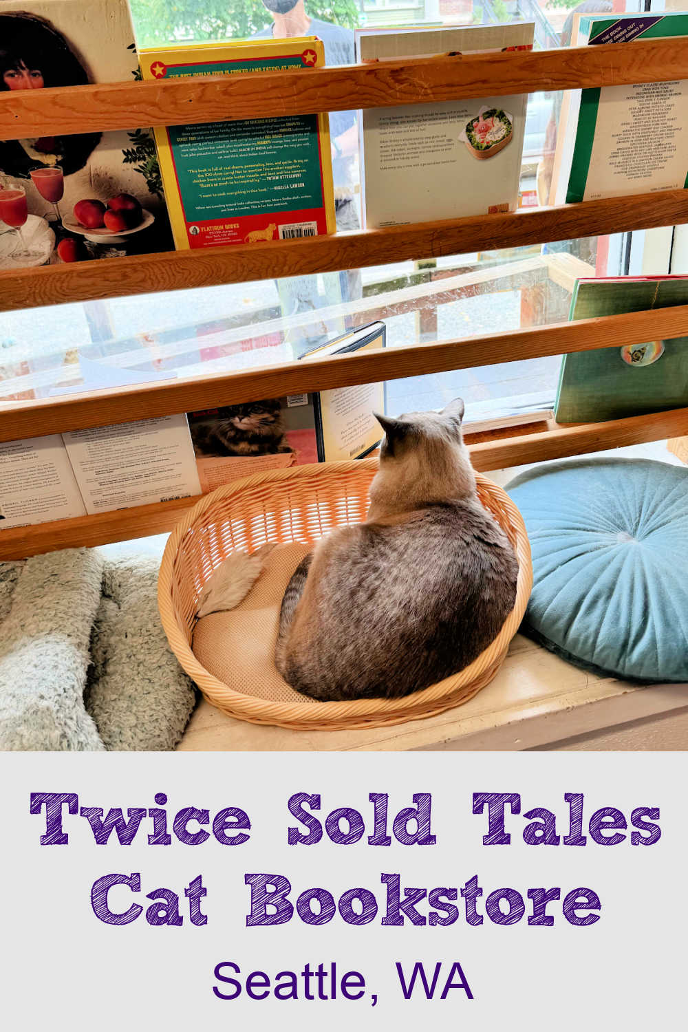Twice Sold Tales Bookstore, Seattle - A Nation of Moms