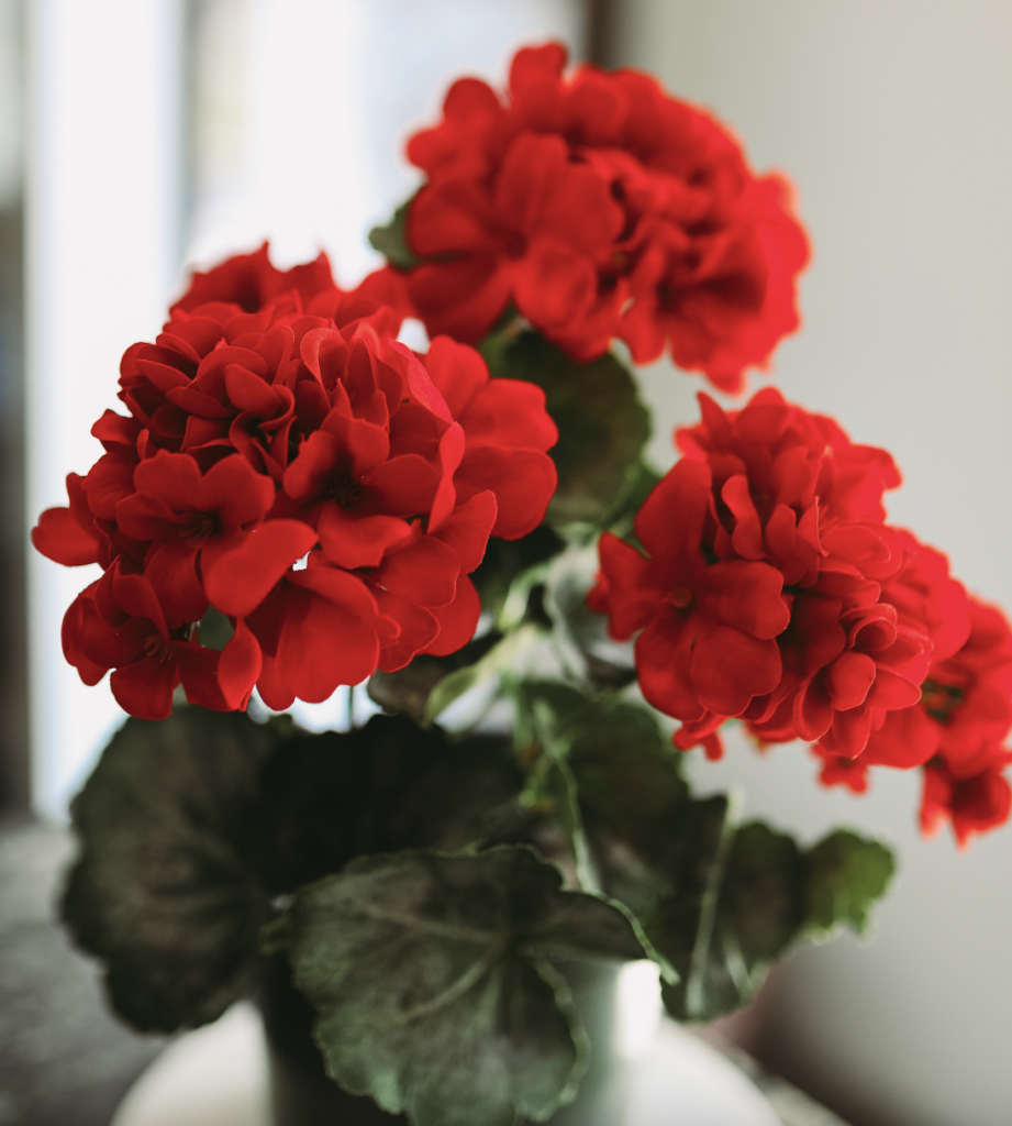 How to Decorate with Artificial Geraniums, Cherry Blossoms, and ...