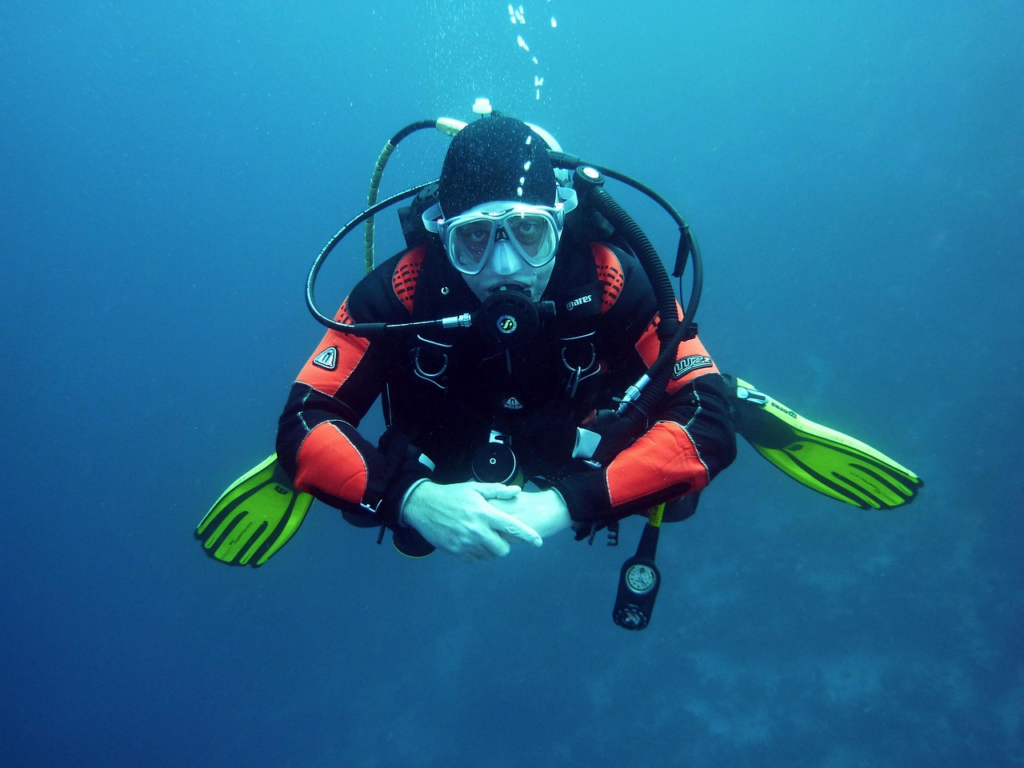 Why Conservation Diving Is Gaining Popularity Among Travelers - A ...